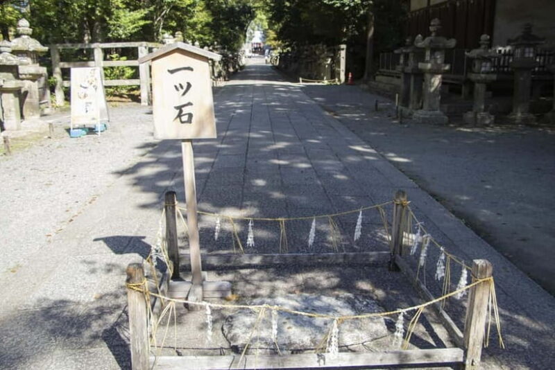 Kyoto: Iwashimizu Hachimang Shrine Guided Tour & Cable Car - The Cable Car Experience