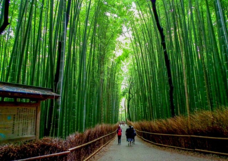 Kyoto: Japanese Gardens Private Customizable Tour - Exploring Kyotos Zen Gardens: What You Can Expect