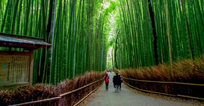 Kyoto: Japanese Gardens Private Customizable Tour - Who Will Love This Tour?