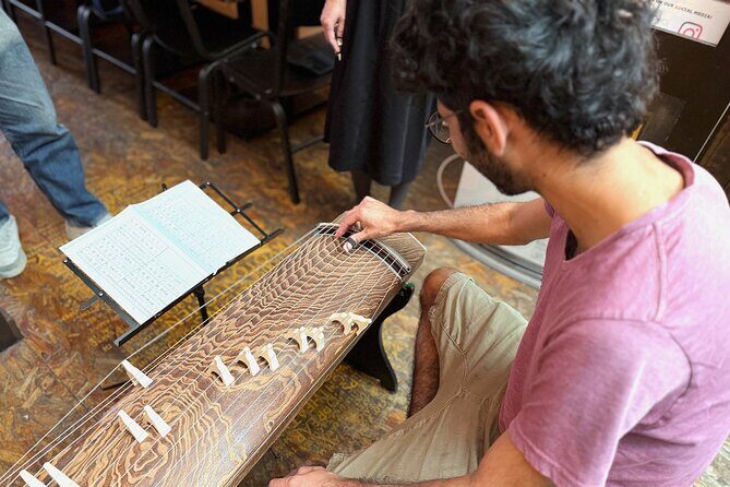 Kyoto Japanese Koto Music Workshop - Who Should Consider This Tour?