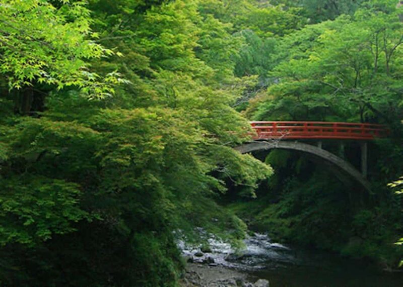 Kyoto: Jingoji and Kozanji Temple Private Day Trip - Key Points