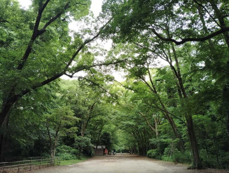 Kyoto: Kamigamo and Shimogamo Shrines Guided Tour 3h - Key Points
