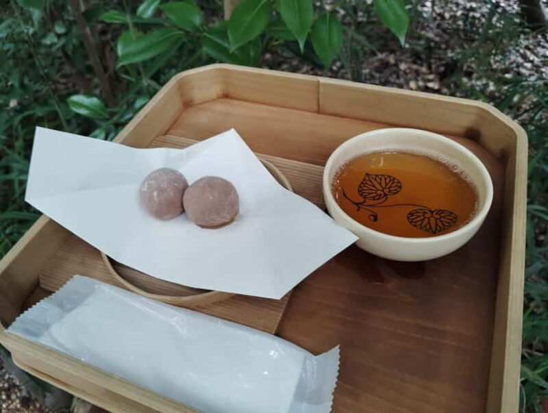 Kyoto: Kamigamo and Shimogamo Shrines Guided Tour 3h - Exploring Kyoto’s Kamo Shrines: A Cultural and Spiritual Walk