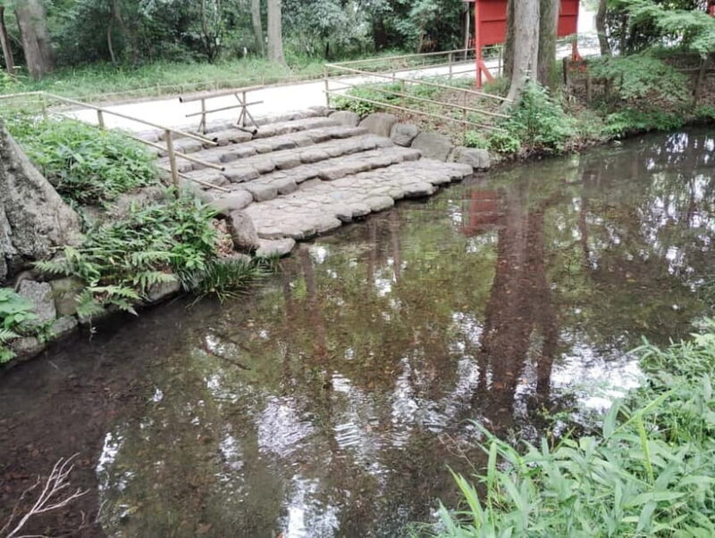 Kyoto: Kamigamo and Shimogamo Shrines Guided Tour 3h - The Sum Up