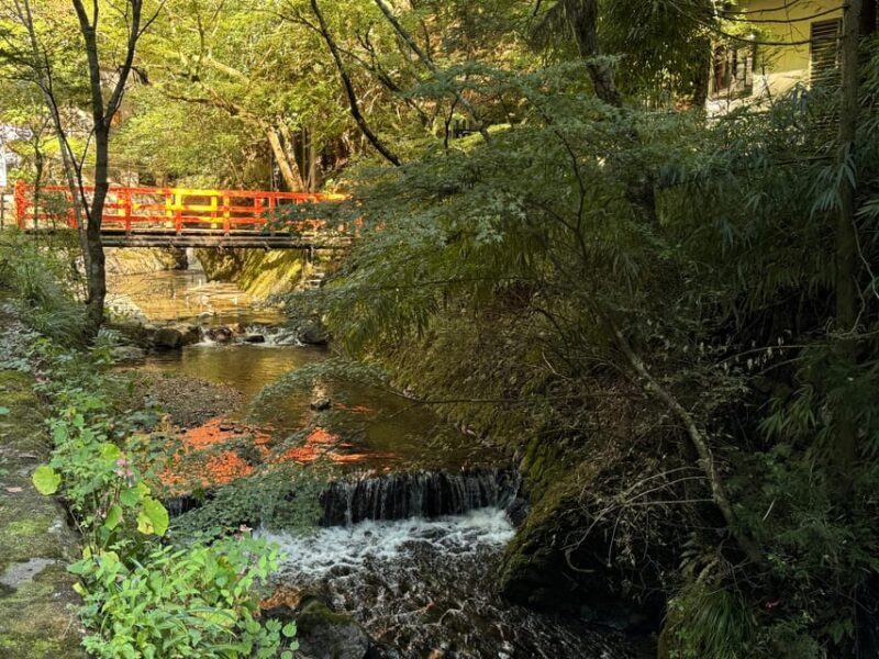 Kyoto: Kifune Shrine and the Sacred Kifune Valley Day Trip - The Itinerary in Detail: What to Expect