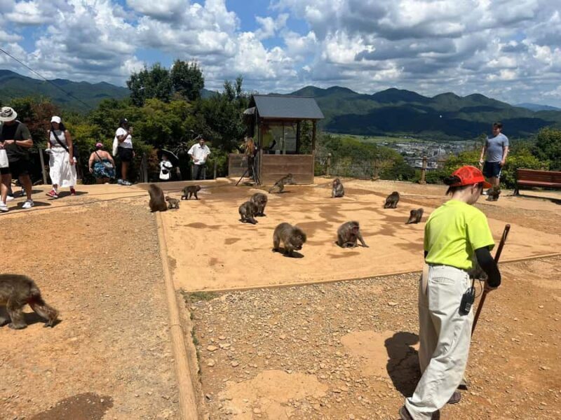 Kyoto: Kinakuji The Golden Pavilion, Ryan-Ji and Wildlife - Exploring Kyoto’s Top Sights in a Compact Tour