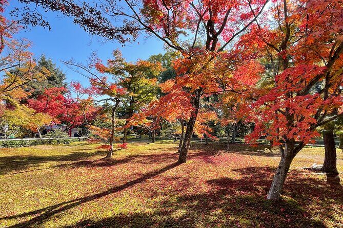 Kyoto: Kinkaku-ji Temple & Serene Garden Guided Tour with Tickets - An In-Depth Look at the Tour Experience