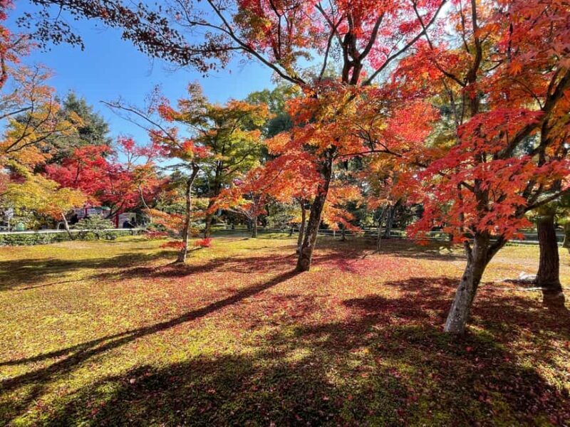 Kyoto: Kinkaku-ji Temple & Serene Garden Tour with Tickets - Walking Through the Itinerary