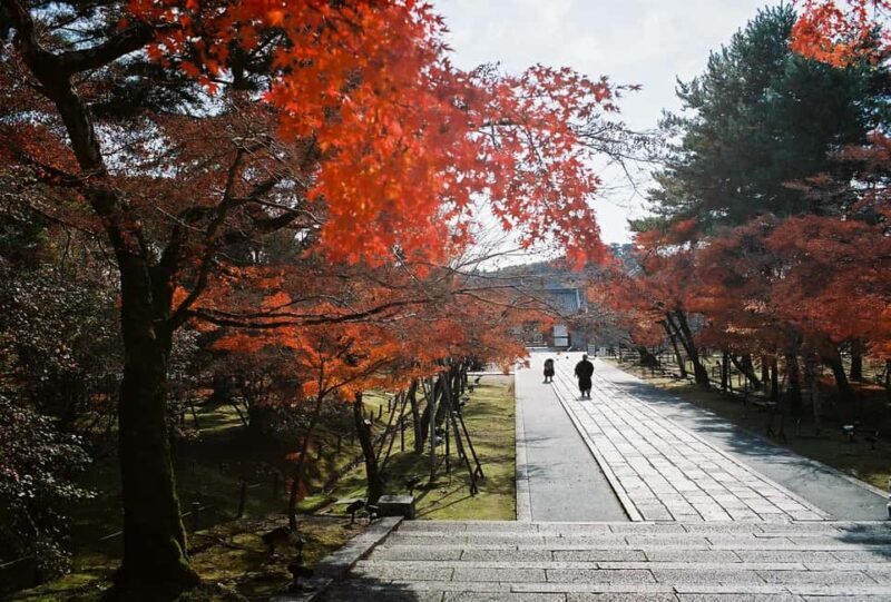 Kyoto: Kinkaku-ji Temple & Serene Garden Tour with Tickets - Practical Tips for Future Travelers