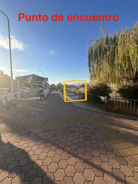 Kyoto: Kiyomizudera, Sanjusangendo, Kodaiji, and Gion. - Key Points