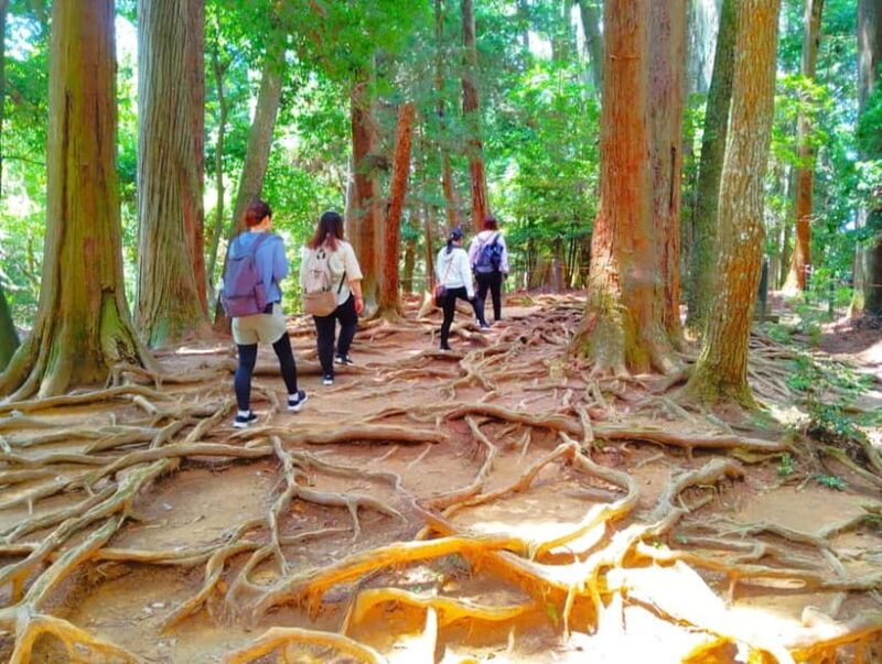 Kyoto: Kurama Temple and Mountain Legends Guided Hike - An Introduction to the Tour Experience