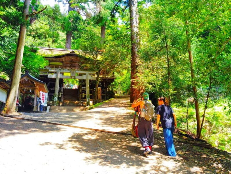 Kyoto: Kurama Temple and Mountain Legends Guided Hike - The Value of This Experience