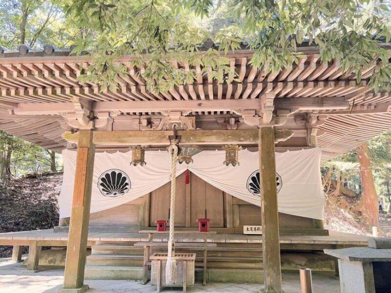 Kyoto: Kurama to Ohara Mountain Temples & Countryside Tour - Key Points