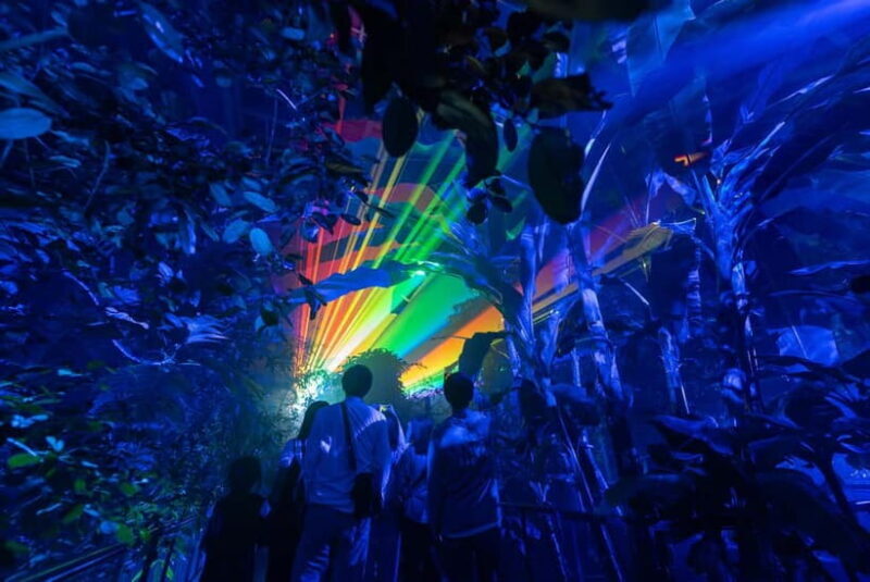 Kyoto: Light Cycles by Moment Factory with Yukata Rental - Key Points