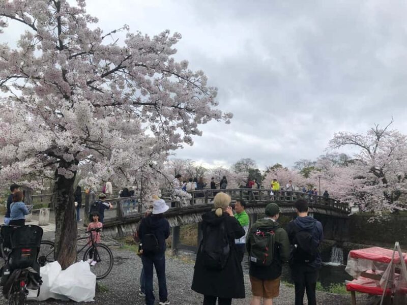 Kyoto: Memory Kyoto E-Bike Tour - Authenticity and Local Flavor