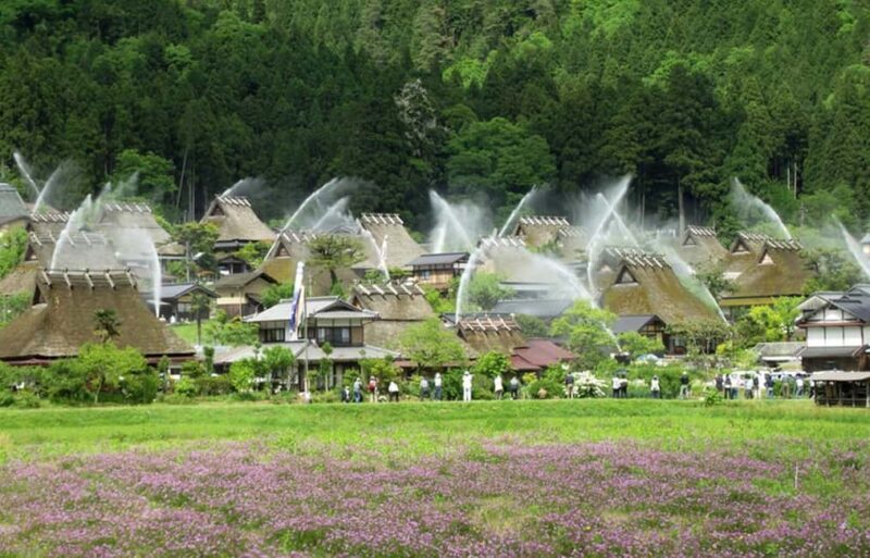 Kyoto: Miyama Village, Amanohashidate & Ine Bay Day Trip - Pricing and Value