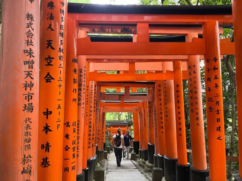 Kyoto: Morning Highlights E-bike Tour - Who Would Enjoy This Tour?