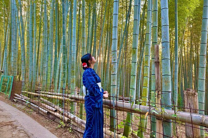 Kyoto Morning Highlights: Fushimi Inari, Kiyomizu-dera & Gion - The Sum Up