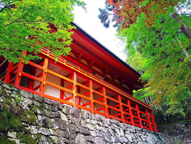 Kyoto: Mount Hiei Guided Tour  Mother of Japanese Buddhism - What to Expect from This Tour
