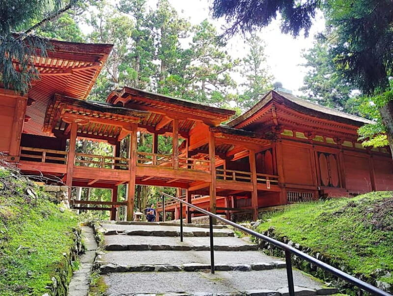 Kyoto: Mount Hiei Guided Tour  Mother of Japanese Buddhism - Who Should Consider This Tour?