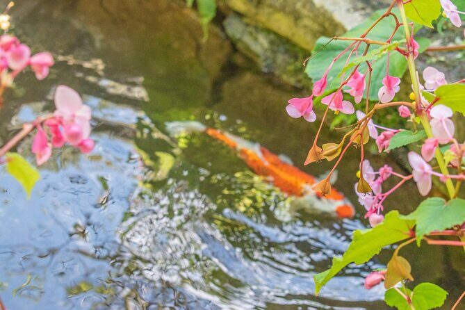 Kyoto Mystery Route Adventure Journey Off the Beaten Path - Who Will Love This Tour?