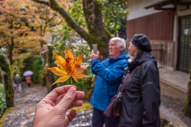 Kyoto Mystery Route Adventure Journey Off the Beaten Path - The Sum Up