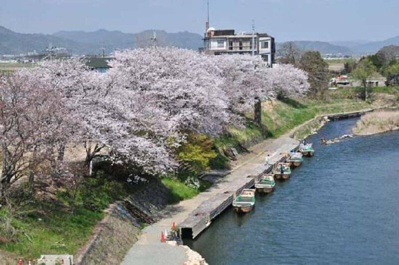 Kyoto: Nanzen-ji, Fushimi Sake & Hozugawa River Day Trip - Frequently Asked Questions (FAQs)