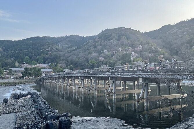 Kyoto & Nara 1 Day Private Charter Car Tour from Osaka or Kyoto - Who Will Benefit Most from This Tour?