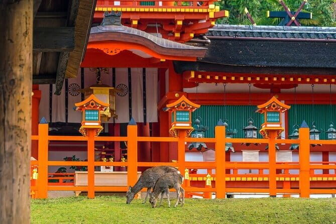 Kyoto & Nara Day Tour: Golden Pavilion, Fushimi Inari & Deer Park - FAQs