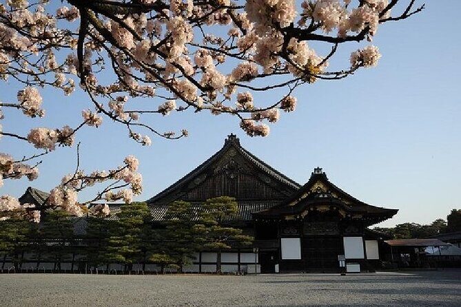 Kyoto & Nara Day Trip - Golden Pavilion & Todaiji from Kyoto - Final Thoughts: Is This Tour Right for You?