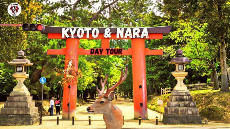 Kyoto & Nara: Full-Day Private Guided Tour with Hotel Pickup - Key Points