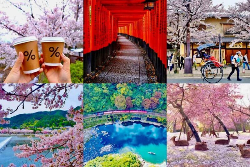 Kyoto/Nara: Must-see Spots in One Day Tour with Hotel Pickup - Kyoto/Nara: Must-see Spots in One Day Tour with Hotel Pickup