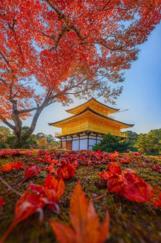 Kyoto & Nara: Private Custom Guided Tour with Hotel Pickup - Key Points