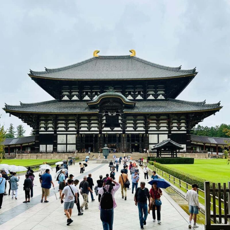 Kyoto & Nara: Private Custom Guided Tour with Hotel Pickup - Final Thoughts: Who Is This Tour For?