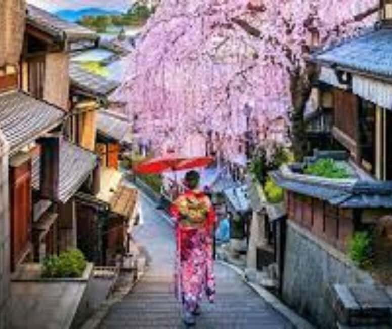 Kyoto & Nara Private Customized, Guided Tour - The Sum Up: Is This Tour Right for You?