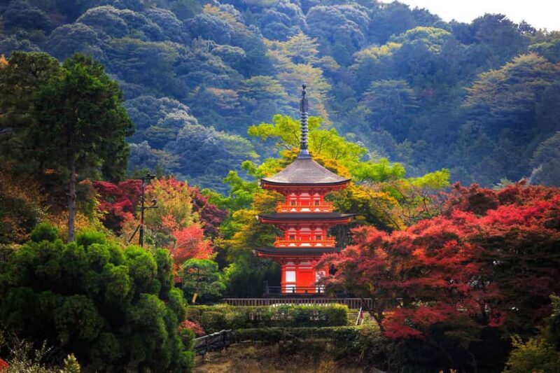 Kyoto & Nara Private Customized, Guided Tour - FAQs