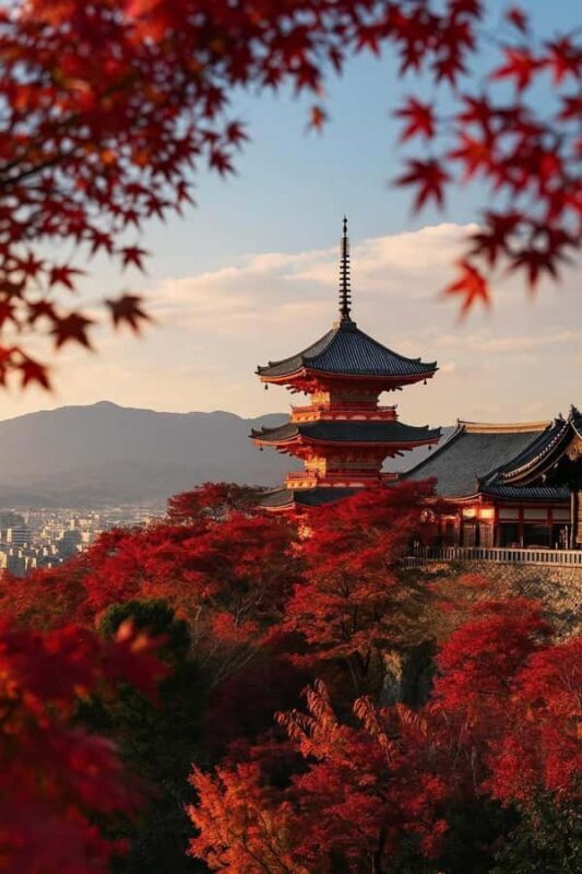 Kyoto & Nara: Private Guided Day Trip by Car with Pickup - An Introduction to the Experience