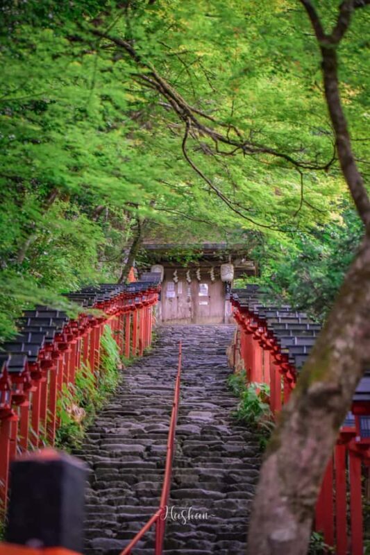 Kyoto & Nara: Private Guided Tour on Green Licensed Alphard - Final Thoughts