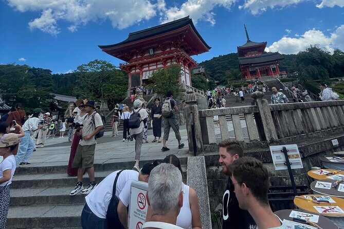 Kyoto-Nara Private Sightseeing Cherry Blossoms Tour With Pick Up - Pricing and Value