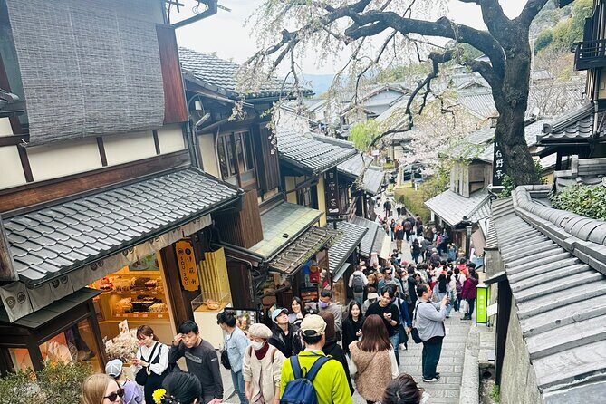 Kyoto-Nara Private Sightseeing Cherry Blossoms Tour With Pick Up - Who Would Enjoy This Tour?