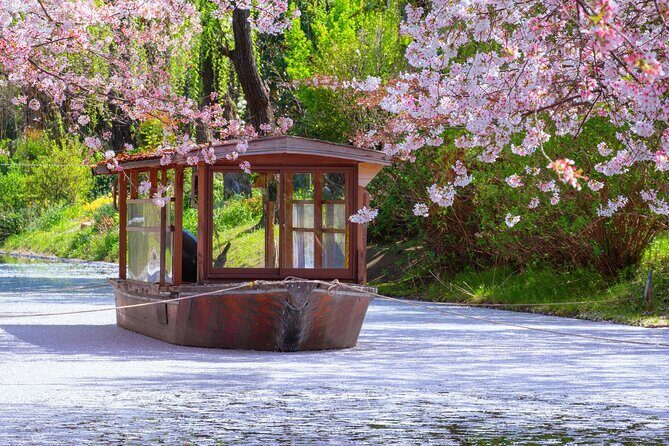 Kyoto & Nara Small Group Day Tour from Kyoto - The Itinerary in Detail: What to Expect