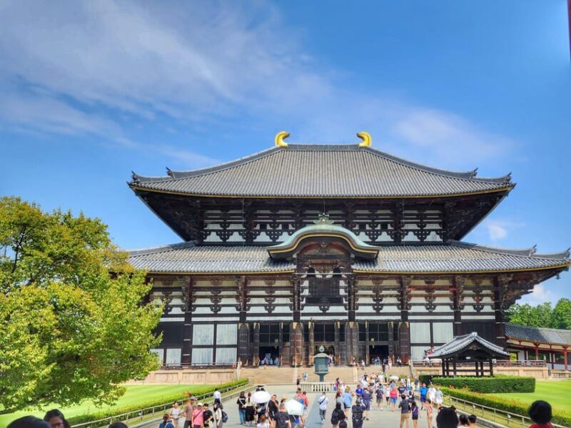 Kyoto: Nara, Todaiji, Kasuga Taisha Shrine Private Full Day - What’s Included and What’s Not?