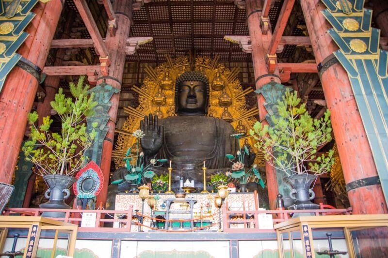Kyoto: Nara, Todaiji, Kasuga Taisha Shrine Private Full Day - The Experience from a Traveler’s Perspective