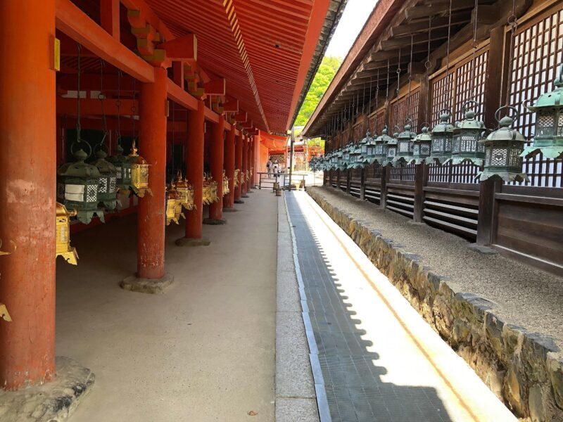 Kyoto: Nara, Todaiji, Kasuga Taisha Shrine Private Full Day - Final Thoughts