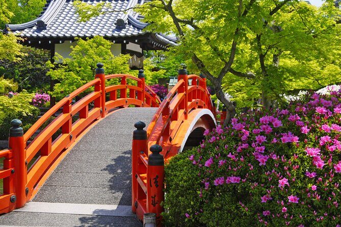 Kyoto: Nijo Castle History Walking Tour  World Heritage - The Value Proposition: Price and Experience