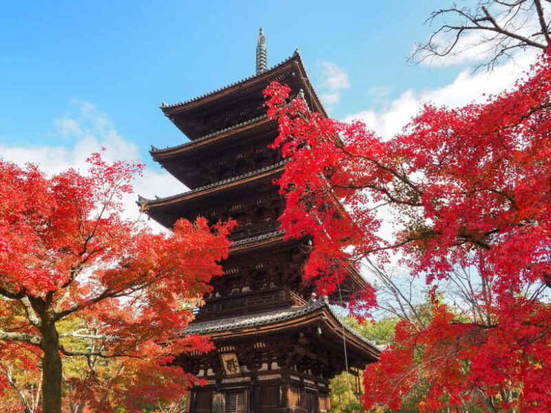 Kyoto: Ninnaji Temple Entry Ticket - An Authentic Visit to Kyoto’s Ninnaji Temple