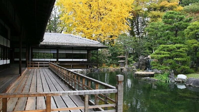 Kyoto: Nishi Honganji, Higashi Honganji, and Ginkakuji Tour - A Deep Dive into the Tour Experience