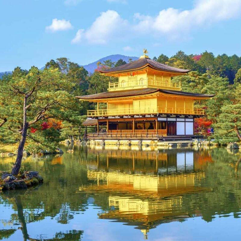 Kyoto North: Kitano Tenmangu, Kinkaku-ji & Tea Shops - An In-Depth Look at the Tour Experience
