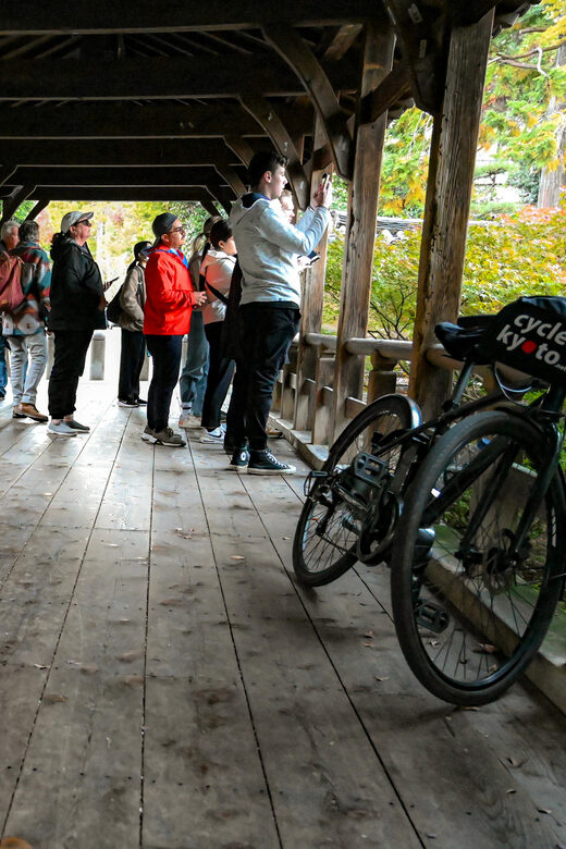 Kyoto: North Kyoto Guided Cycling Tour with Lunch - Key Points