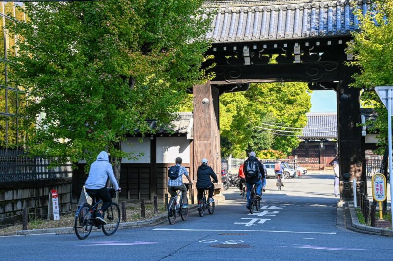 Kyoto: North Kyoto Guided Cycling Tour with Lunch - Who Should Consider This Tour
